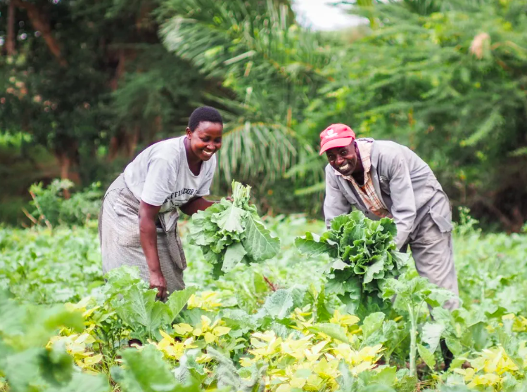 What is Agroecology? - Agroecology Fund